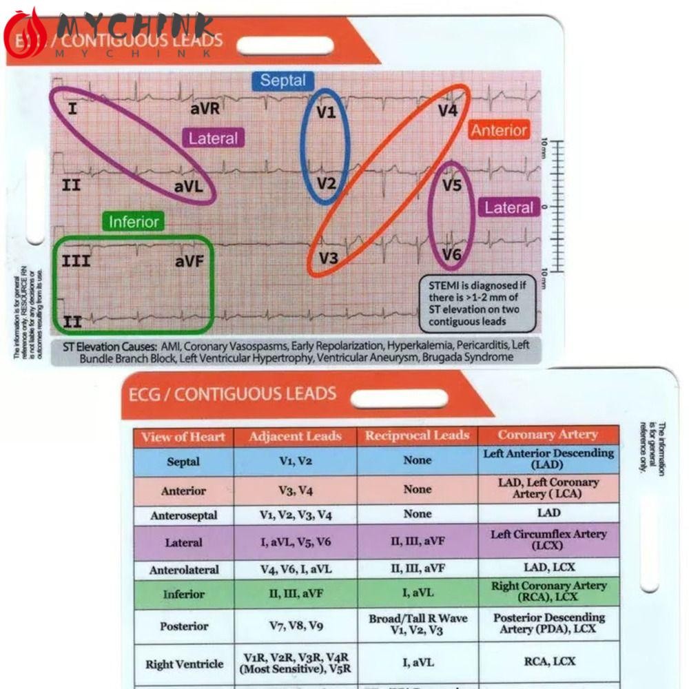 CHINK ECG 7 Step Ruler, Transparent Horizontal Vertical EKG Calipers ...