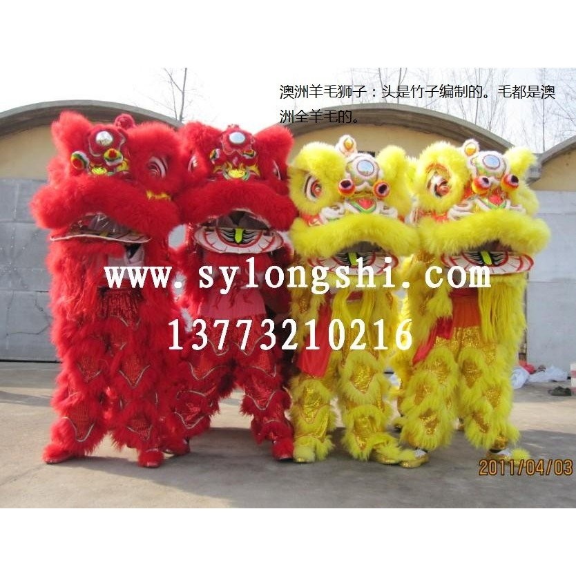 Lion Dance Props Whole Set Adult Double Full Set Dragon Dance Lion ...