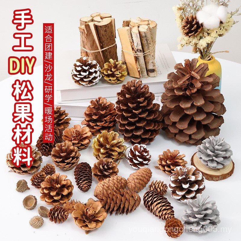 Handmade DIY Pine Cone Decoration Ring Create Kindergarten Landscaping ...
