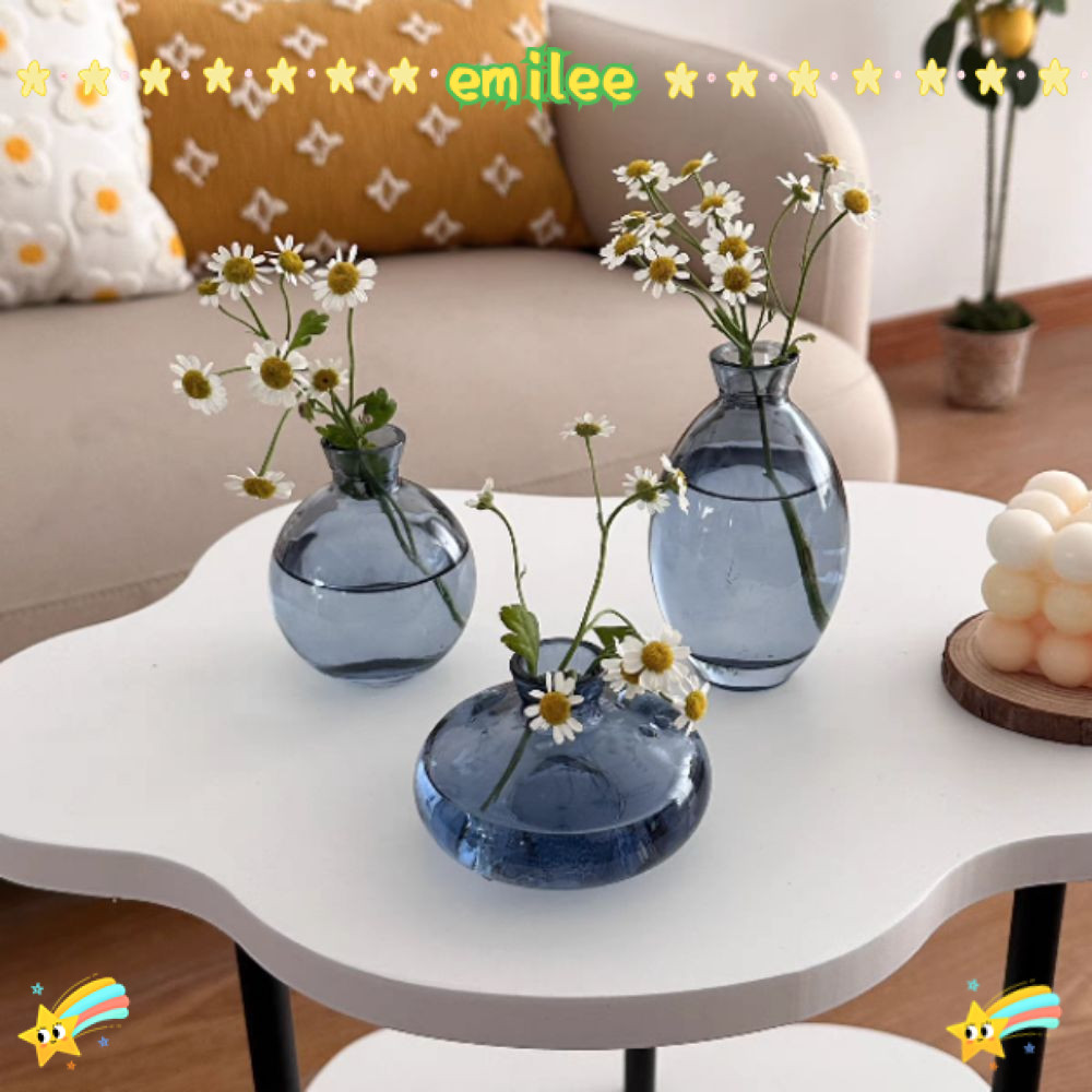 EMIL Mini Flower Vase, Transparent Home Decoration Hydroponic Plant ...