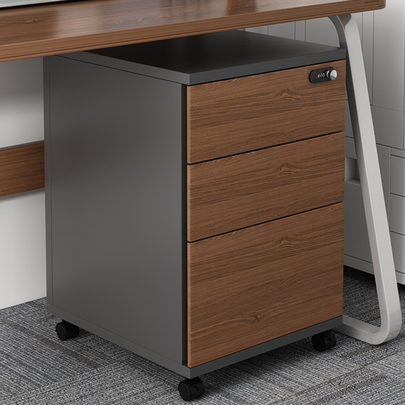 File Cabinet Office Wooden with Lock Small Cabinet Mobile Storage ...