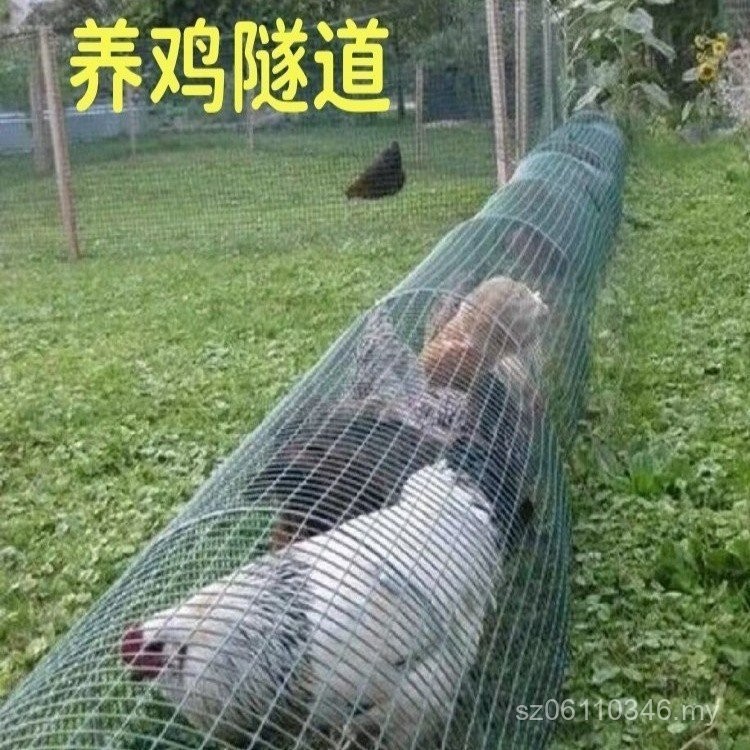 Outdoor Slippery Dispersed Chicken Chicken Cage Outdoor Breeding ...