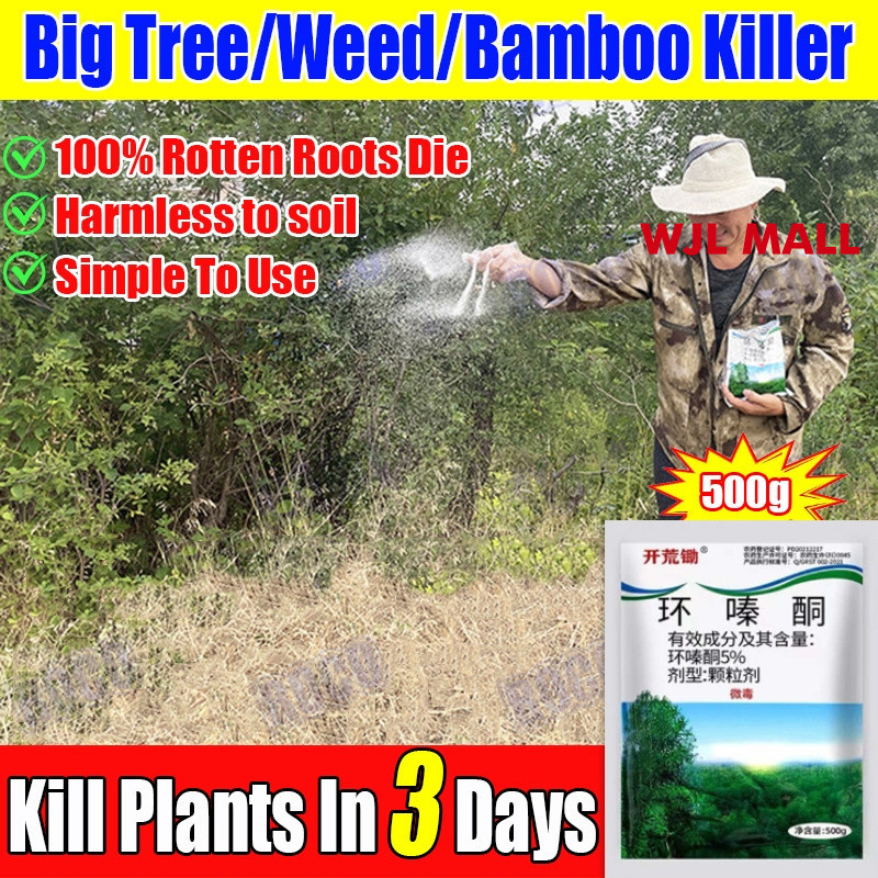 Pembunuh Pokok Rumput yang Kuasa 500g Hexazinone Weed Killer ...