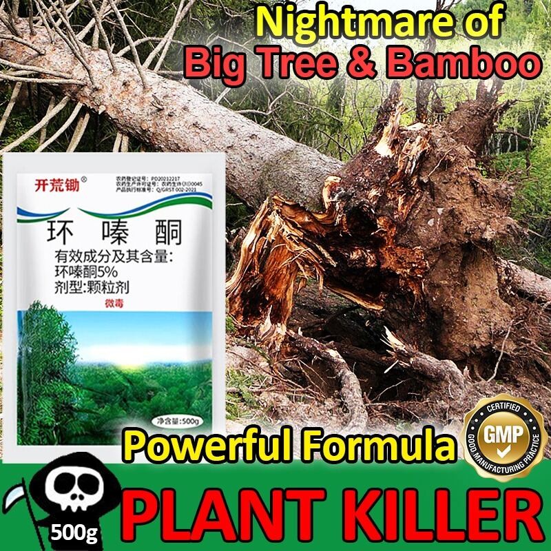 Racun pokok kayu besar 500g Tree killer Concentrated formula Can kill ...