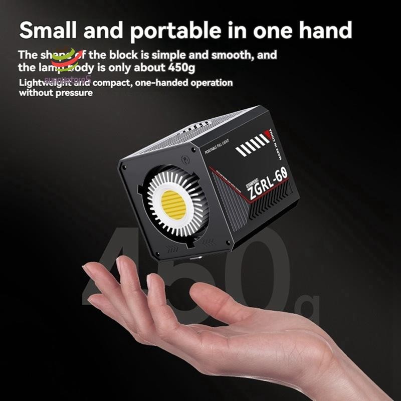 60W LED Handheld Outdoor Video Light Bi-Color 2800K-6500K COB High ...