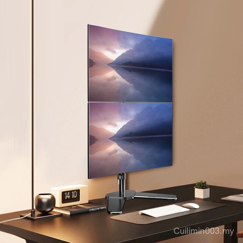 Sg Zhiercheng Computer Monitor Stand Dual-Screen Desktop Up and Down ...