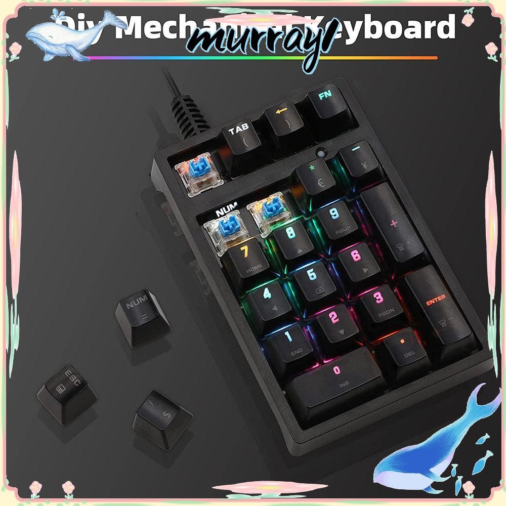 MURRAY1 Numeric Keypad Mini Backlight K21 Number Pad | Shopee Malaysia