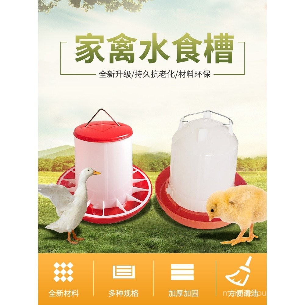 Thick Ingredient Bucket Chicken Duck Goose and Other Birds Chicken Food ...