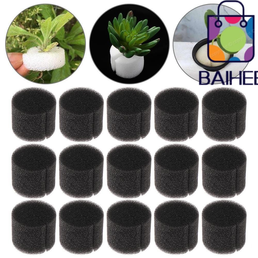 BAIHEE 50/100Pcs Hydroponic Sponge, Planting Sponge Soilless Hydroponic ...