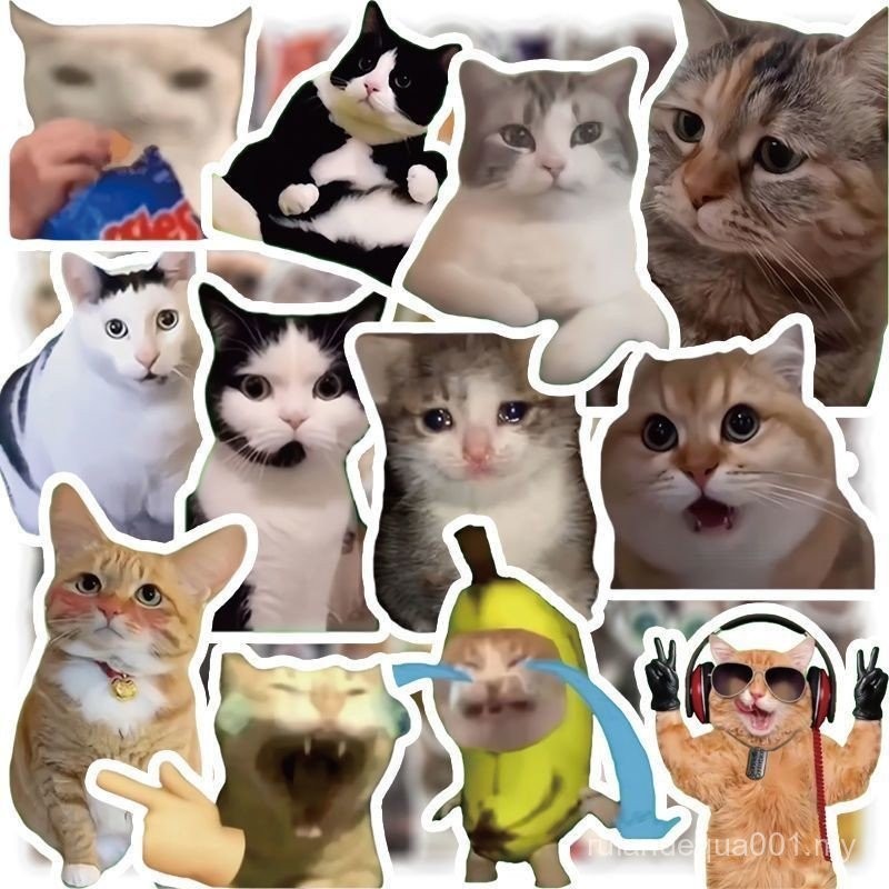 300 Pelekat Meme Kucing Lucu Lucu Lucu Lucu Lucu Kucing Seram Gaya ...