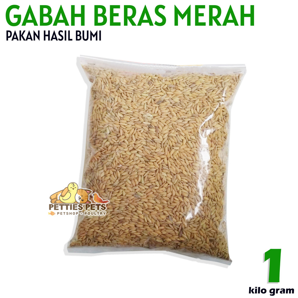 MERAH Pts GABAH RICE / RED RICE GABAH CHICKEN RICE CHICKEN FOOD ALL ...
