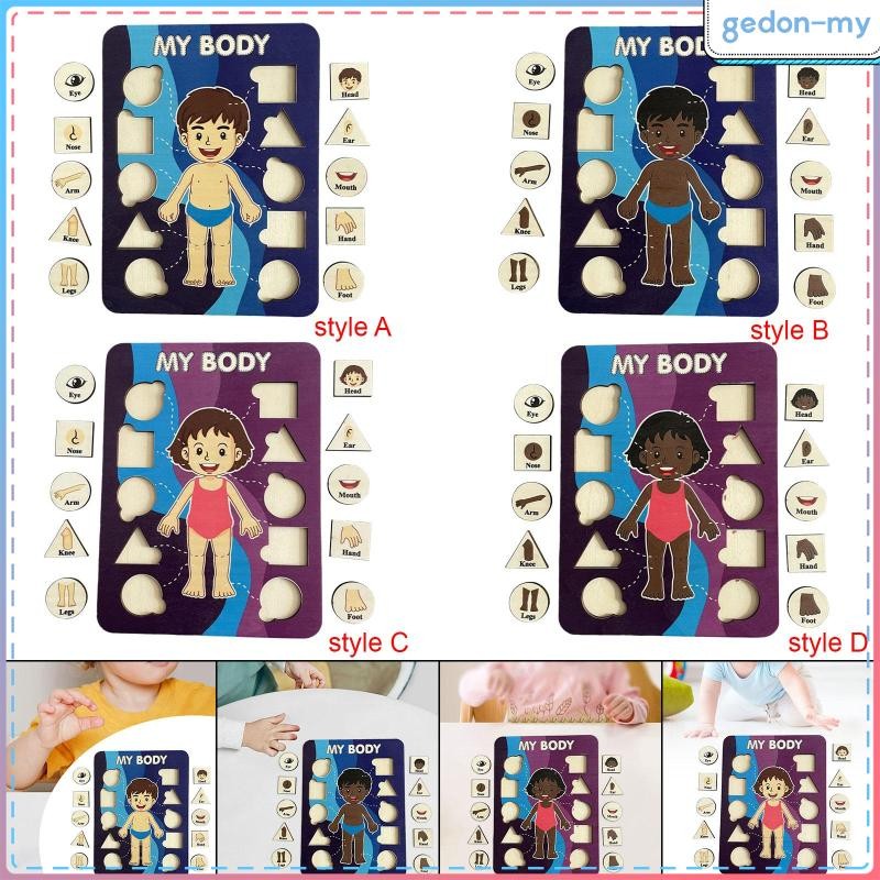 [GedonMY] Learning Human Body Parts Body Puzzle for Kids Shape Sorter ...