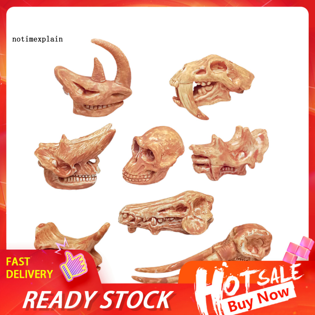 NTA Plastic Dinosaur Skull Model for Collectors Dinosaur Tooth Skull ...