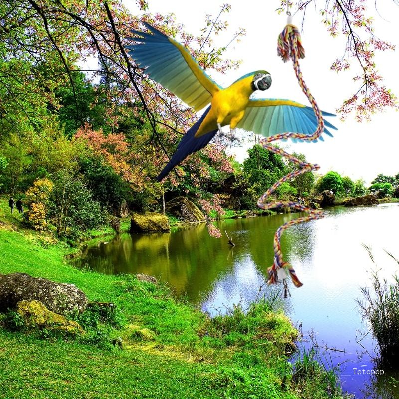 Top Bird Swing Cotton Rope Perch for Cage Hanging Spiral-Bungee Toy for ...