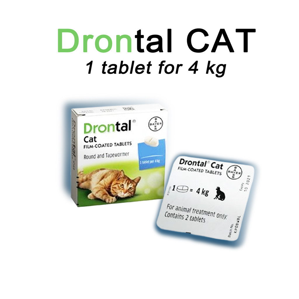 【BUY 4 free 1 】Drontal Cat Kucing 1pcs Effectivity Deworming Tablet Cat ...