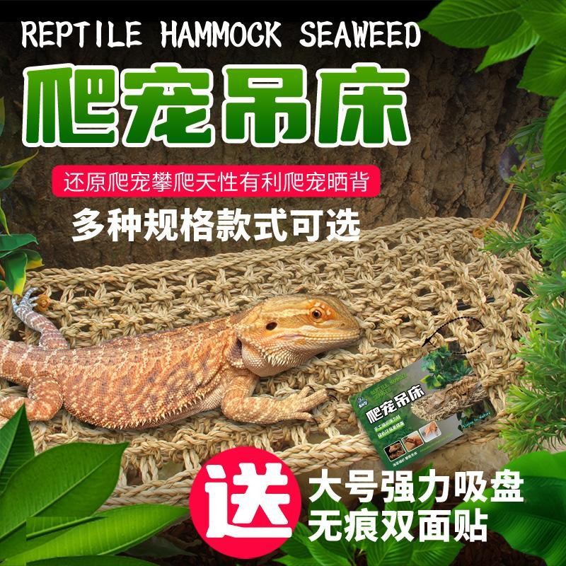 Sgsellert Sea Pet House Reptile Hammock Hiding House Mane Lion Climbing ...