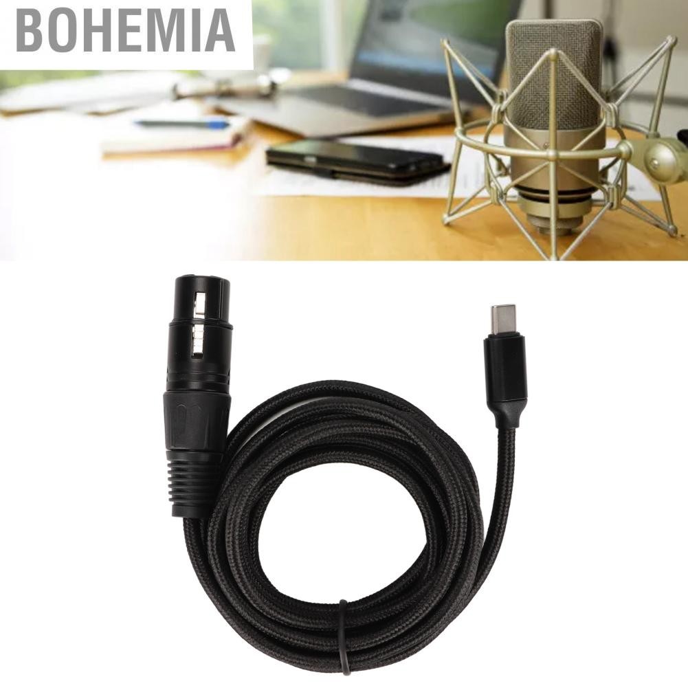 Bohemia Dpofirs USB C to XLR Female Cable Microphone Type Mic Link ...