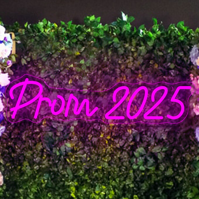 Prom 2025 [40*10cm] USB Neon Sign, Christmas LED Neon Signs for Wall ...