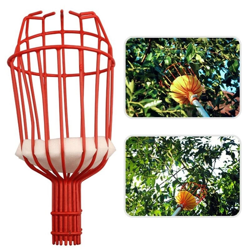Fruit Picker Basket Plucking Mango Papaya Plucker Catcher Garden Tool ...