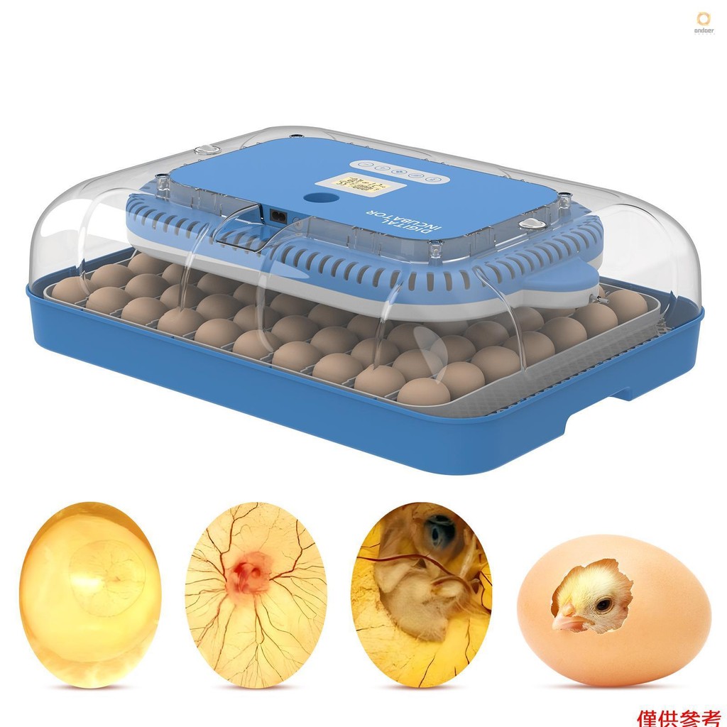 70 Eggs Incubator 3-IN-1 Incubation Hatching and Brooding LCD Digital ...