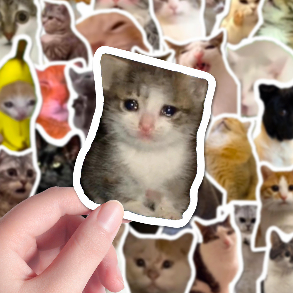 Funny Cat Emoji Stickers 100pcs Creative Cat Decorative Sticker for ...
