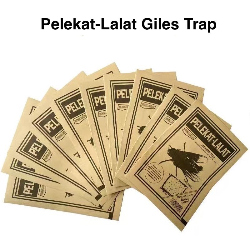 10PCS Green Killer Fly Glue Board STICKER FLY TAPE STICKER BOARD FLY ...