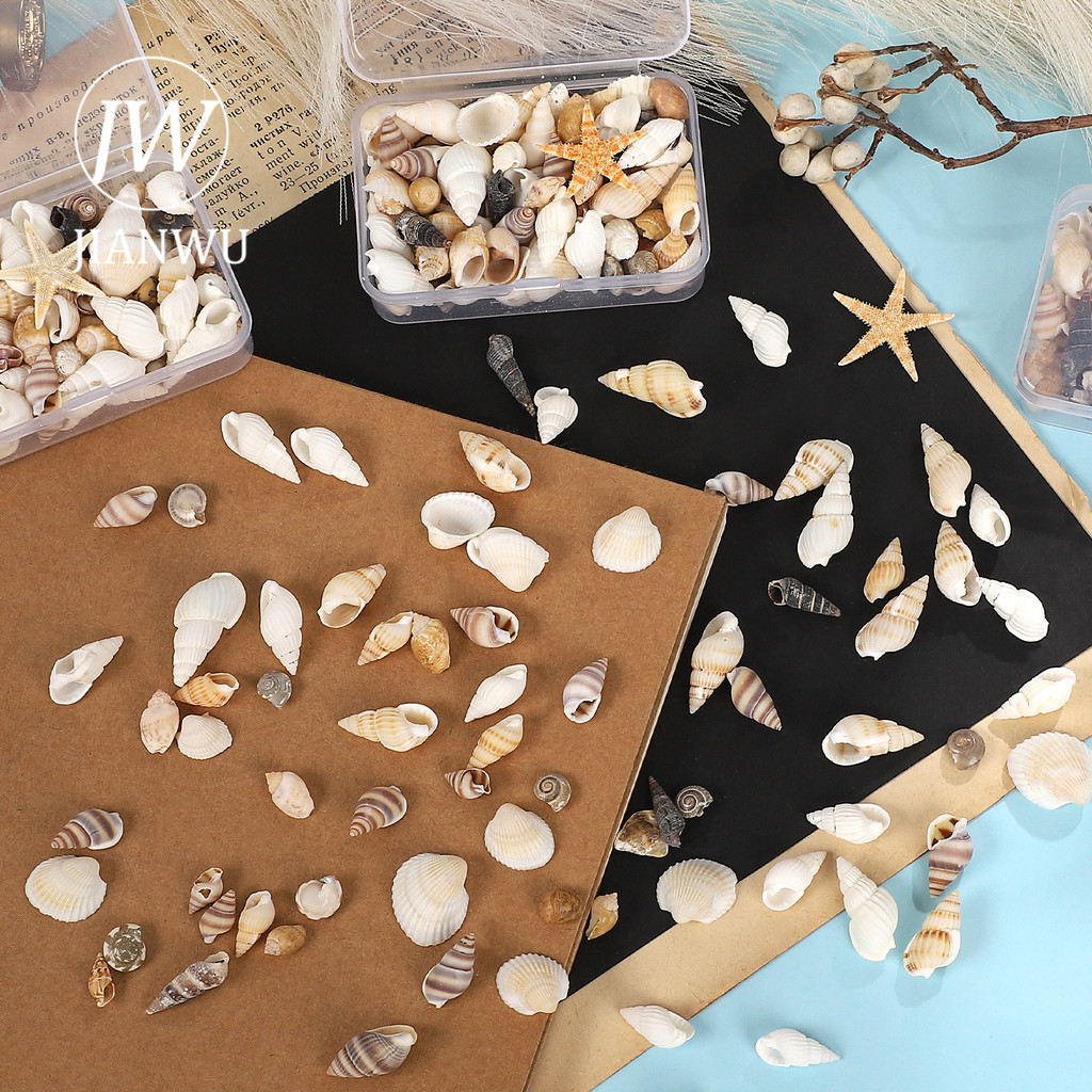 JIANWU Vintage Different Shapes Conch Micro-landscape Layout Collage ...