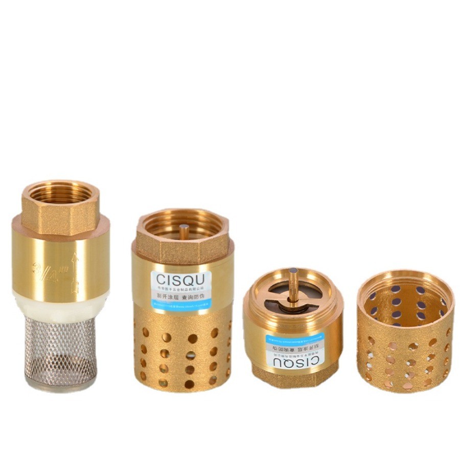[KZS] Water Pump Check Valve Brass Bottom Valve DN15/20/25/32/40 Water ...