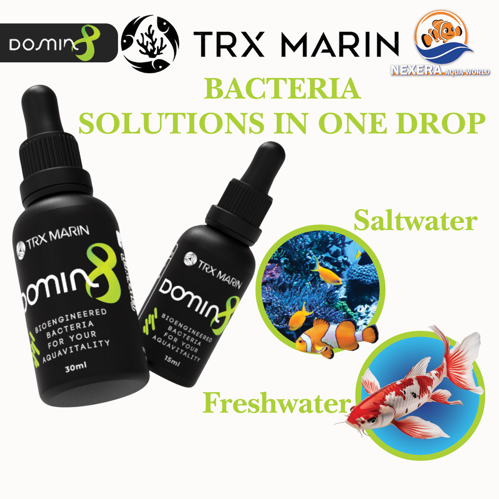 DOMIN8 BACTERIA | CLEAR WATER FAST AQUARIUM BACTERIA NITRIFYING ...