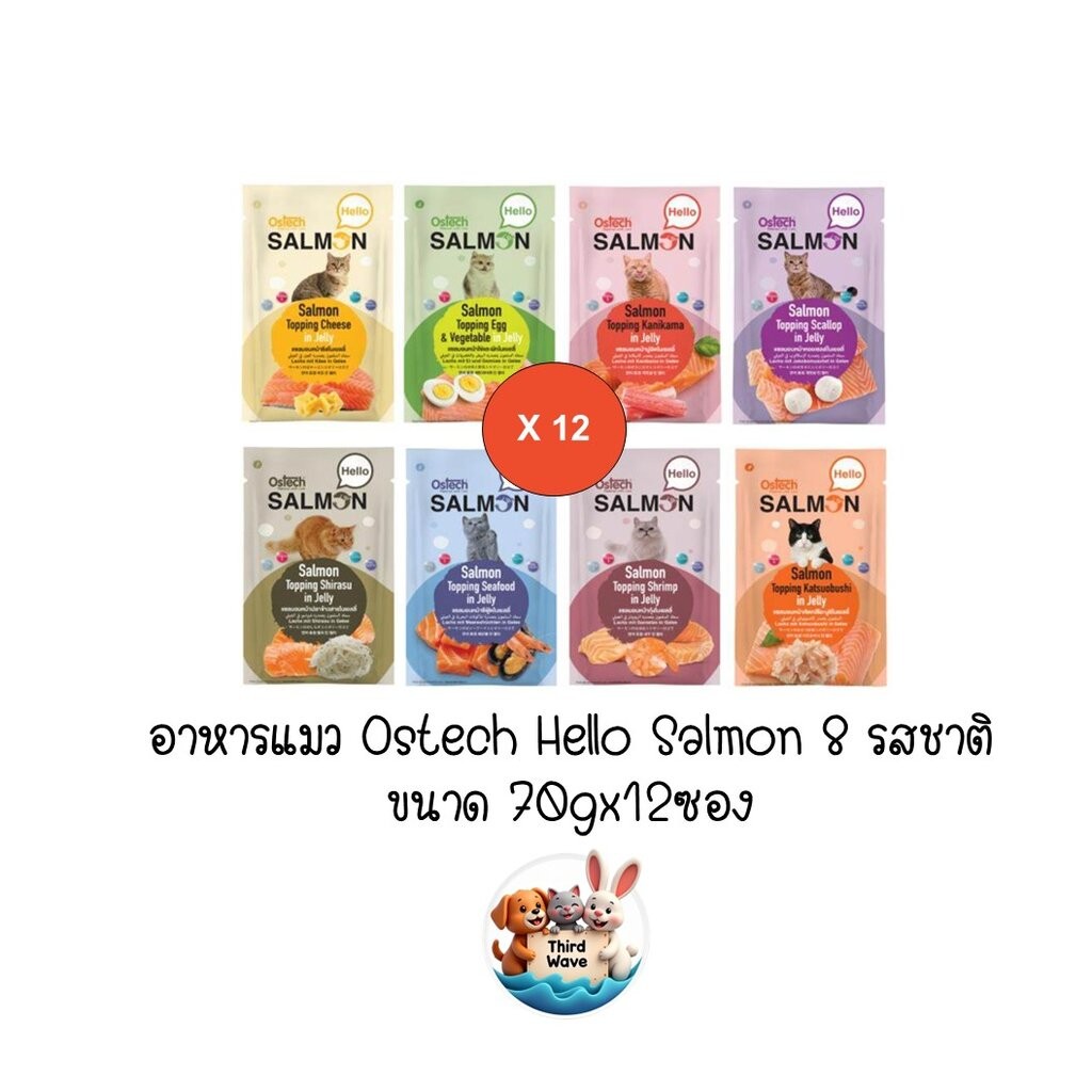 ** 12 Sachets Can Mix** Ostech Hello Salmon Cat Wet Food Sachet 70g ...