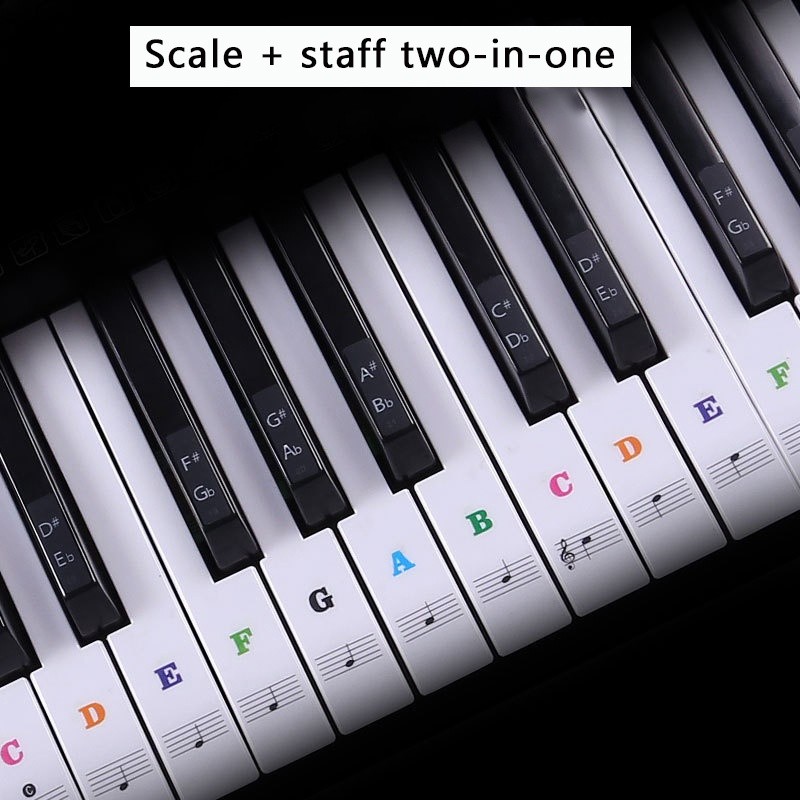 Piano Training Stickers for 37/49/54/61/88 Keys PVC Piano Key Decal ...