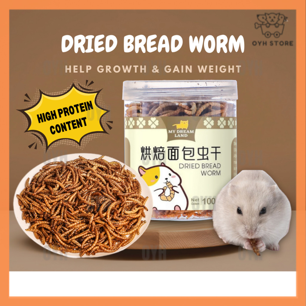 LOCAL DELIVERY- SMALL PET HAMSTER DRIED BREAD WORM HAMSTER SNACK FOOD ...