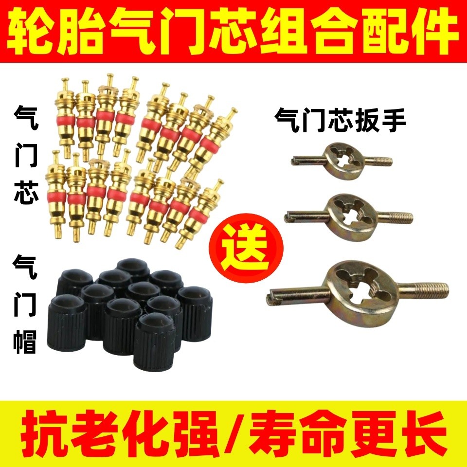 Tire Valve Core Valve Wrench Valve Needle Motorcycle Electric Vehicle ...