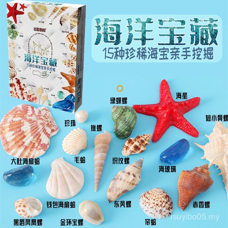 Ocean Treasure Cultural Creative Mystery Box Children Digging Toys ...