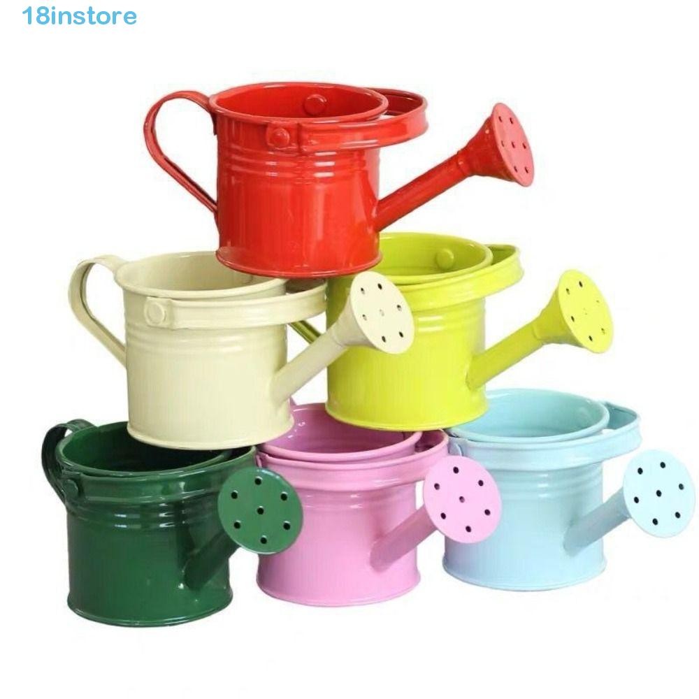 INSTORE Mini Metal Watering Can, Small Thickened Water Spraying Pot ...