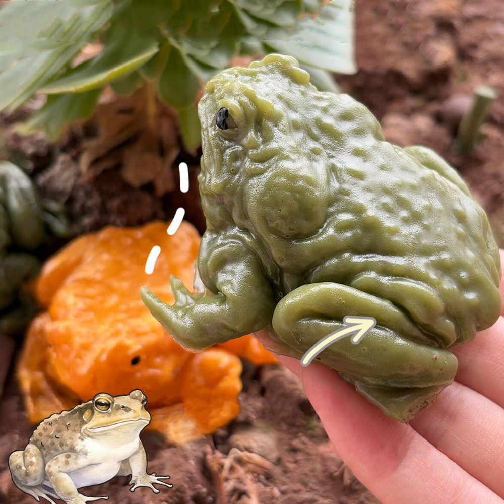 Creative Squeeze Frog Toy Fidget Pinch Squeeze Rebound Toy Children ...