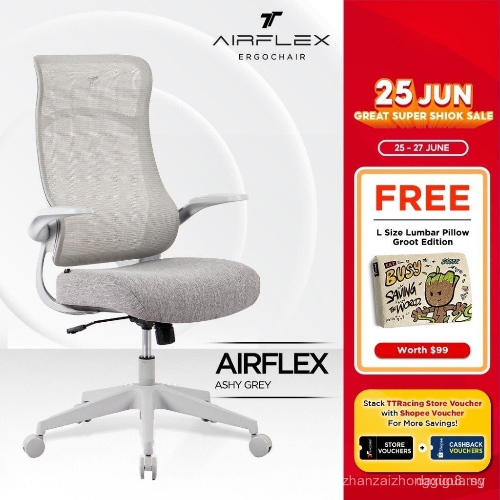 【In stock】TT Airflex Ergochair Home Office Mesh Chair Executive ...