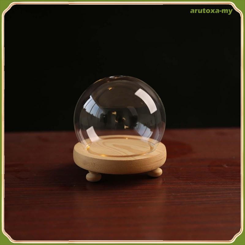 [ArutoxaMY] Clear Glass Cloche Snow Globe Case Multipurpose Glass Globe ...