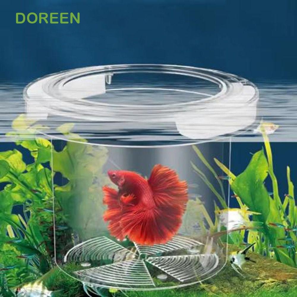 DOREEN Floating Fish Breeding Isolation Box, Transparent Feeding ...
