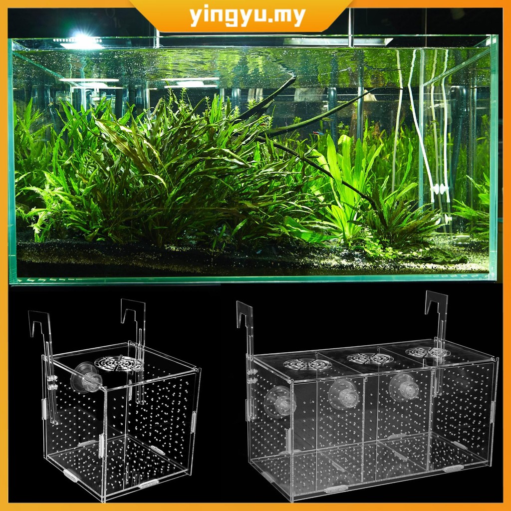 Fish Breeding Box Transparent Fish Isolation Box Acrylic Fish Isolation ...