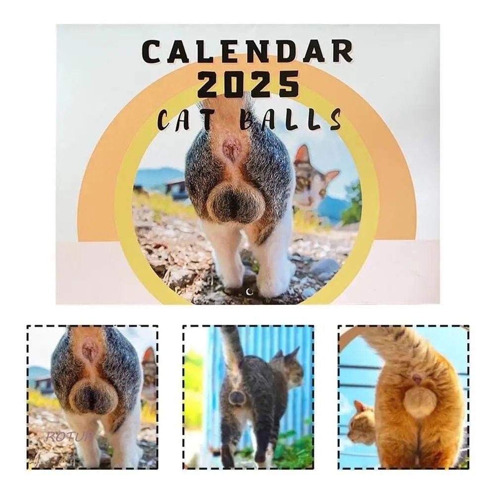 ROTUR Cat Butthole Calendar, Creative Sturdy Glossy Pages 2025 Calendar ...