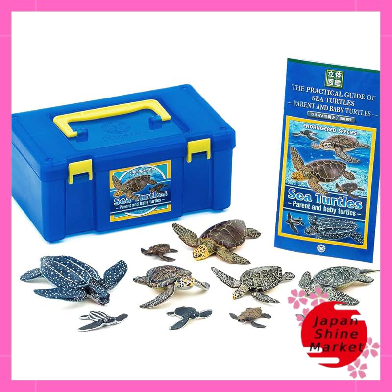 Calorata Realistic 3D Figure Set: Marine Life Series (Includes Turtles ...