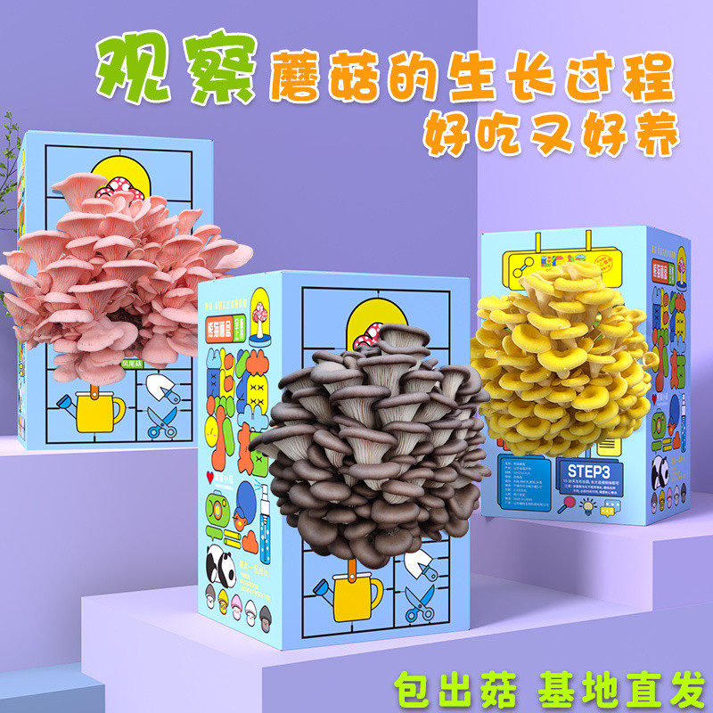 Mushroom Box Gift Box Flat Mushroom Mushroom Planting Bag Edible ...