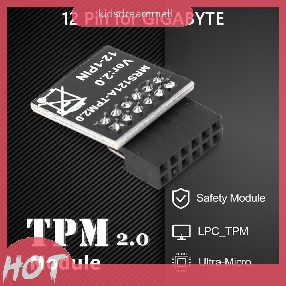 [KidsDreamMall.my] TPM 2.0 Trusted Platform Module Replacement Parts ...