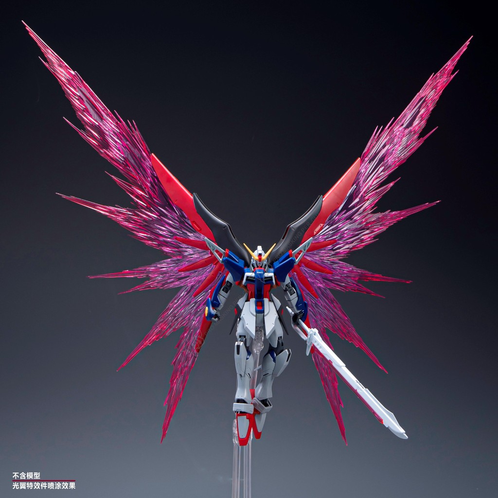 HG DESTINY GUNDAM SPEC II AND ZEUS SILHOUETTE Special Effects Light ...
