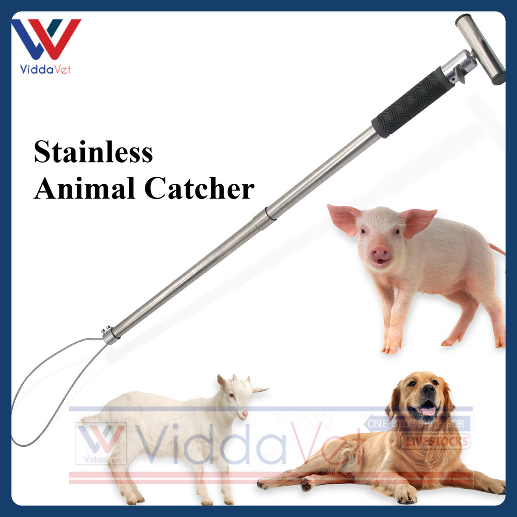 1Pc Stainless Steel Catching Pig Lasso Farm T Type Pig Catcher Pole ...