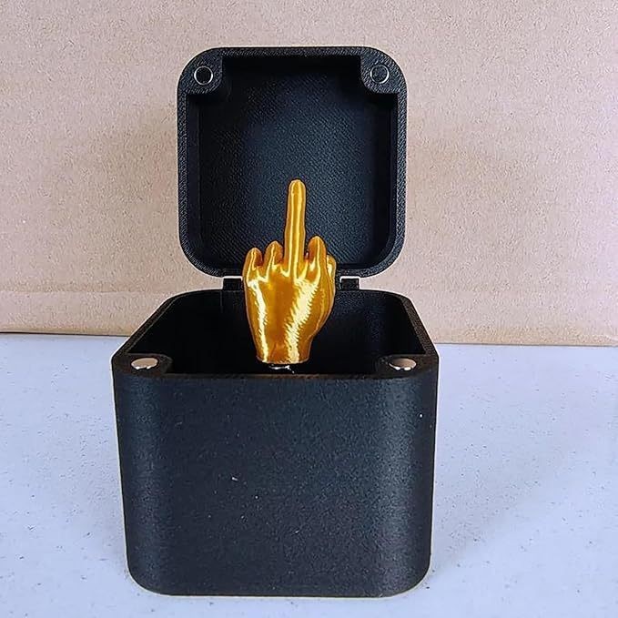 Cross-Border New Middle Finger in a Box 3D Printed Middle Finger Box ...