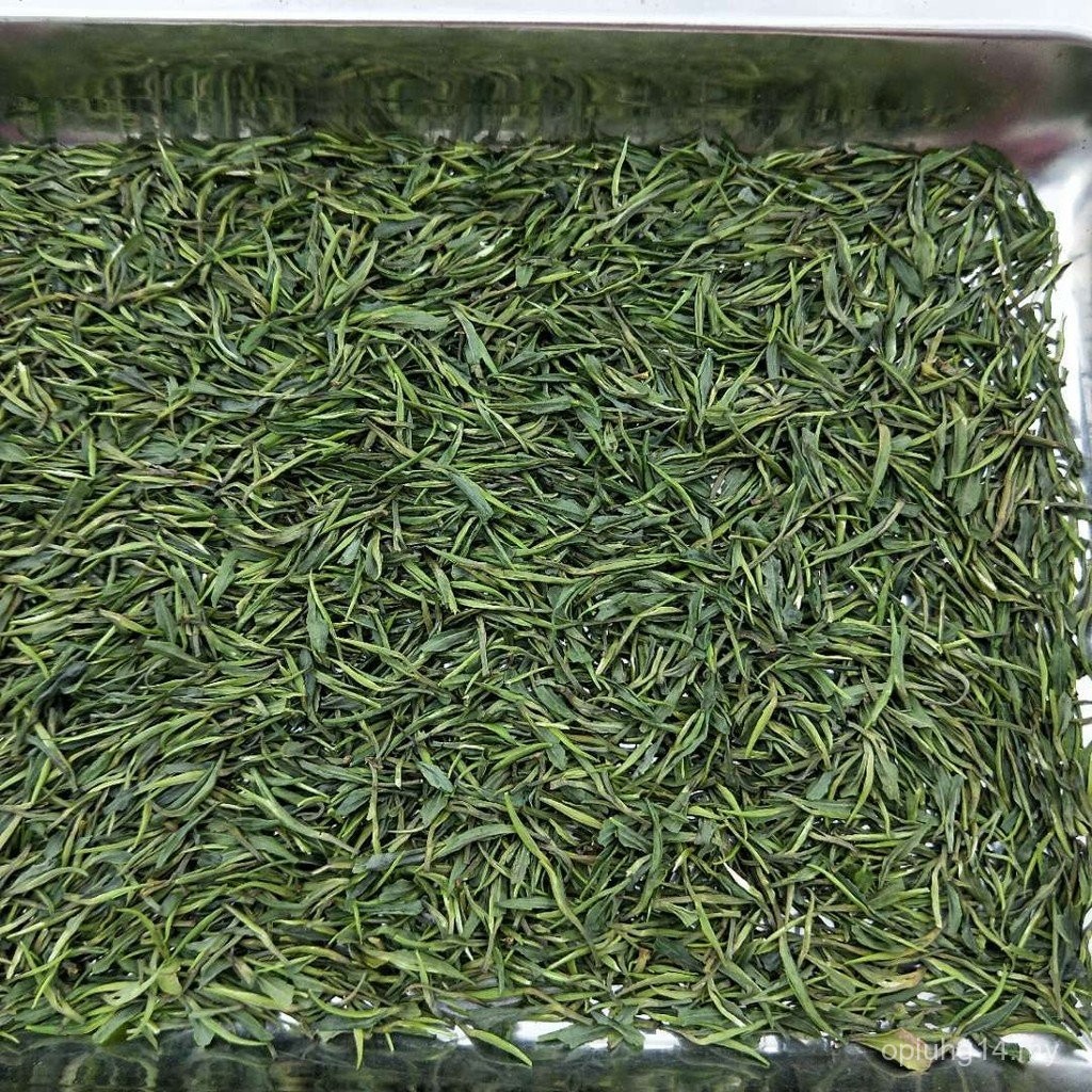 Teh Guizhou Qingzhen Meitan Cuiya Teh Daun Buluh 2025 Teh Baharu Kabus ...