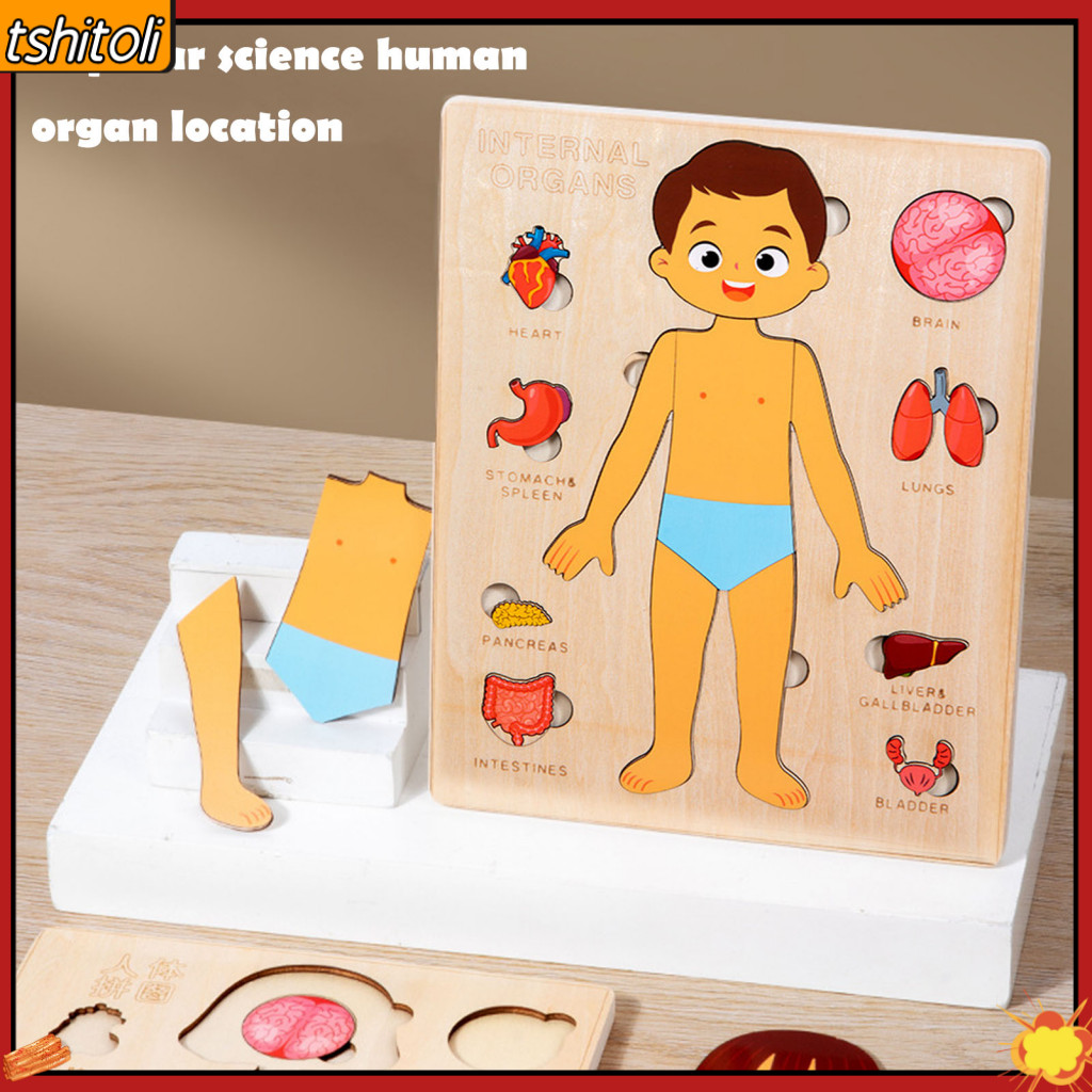 {tshitoli} Body Learning Toy Learning Activity Puzzle Wooden Body ...