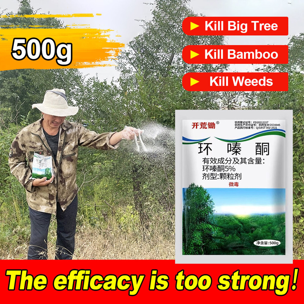 500g Effective weed control weed killer Racun Pochok Kuat Cyclohexanone ...